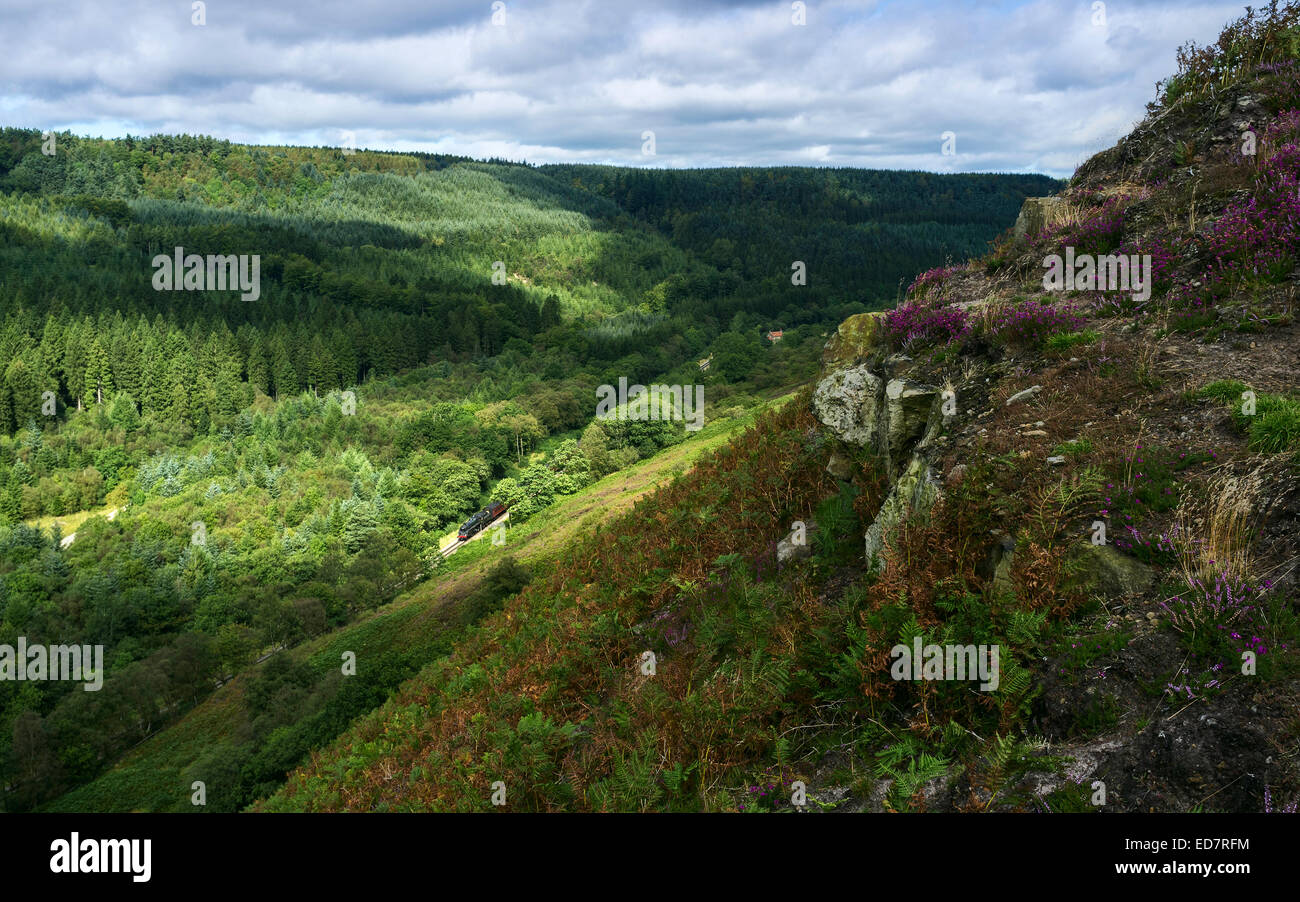 North Yorkshire Moors vintage steam train makes its way through the ...