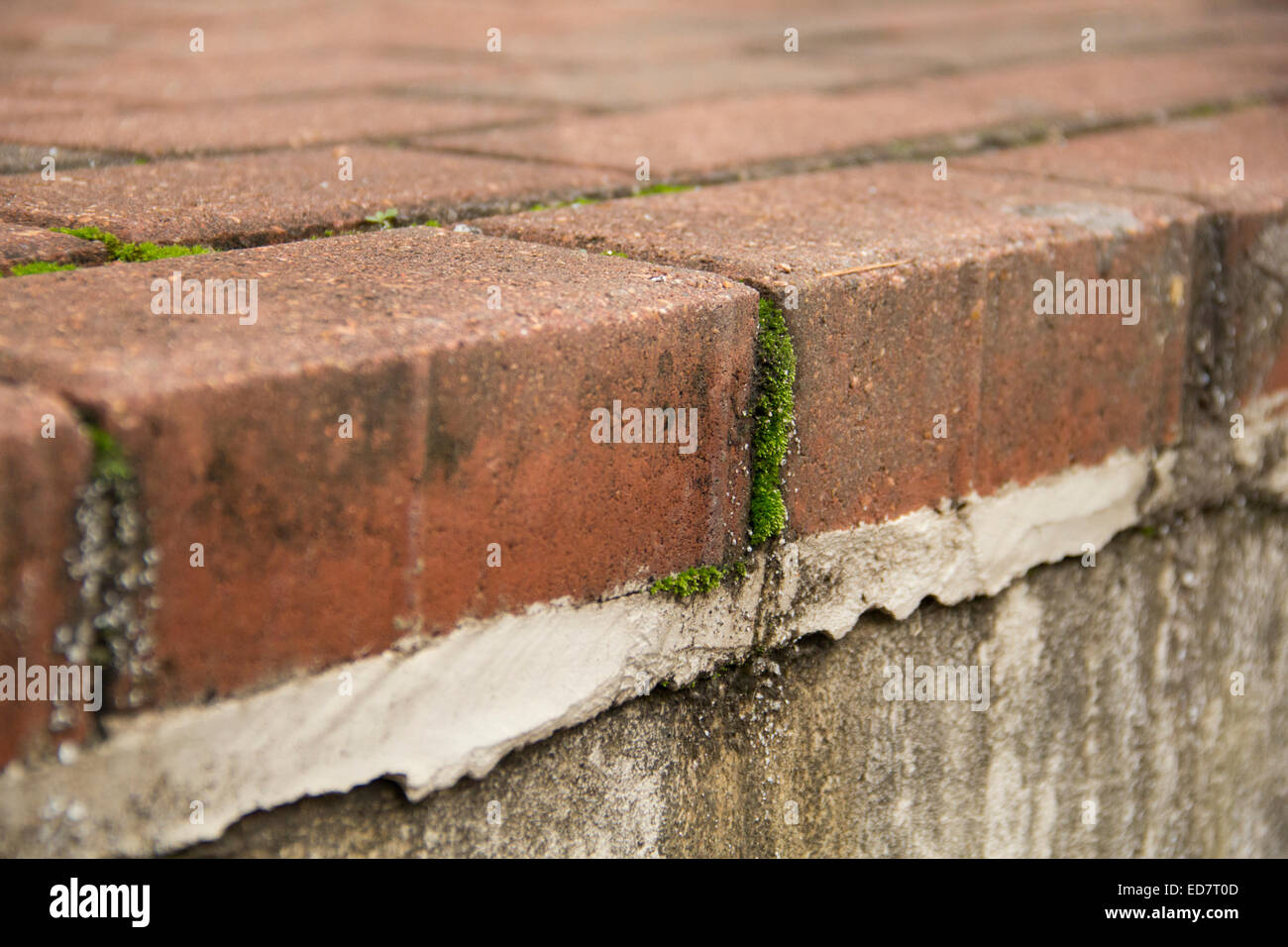 Wet brickwork hi-res stock photography and images - Alamy