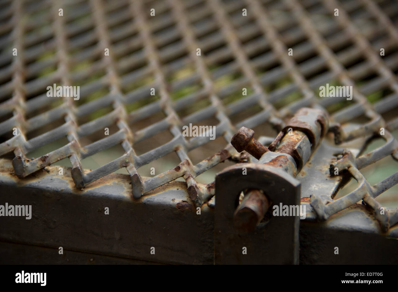 Grating container hi-res stock photography and images - Alamy