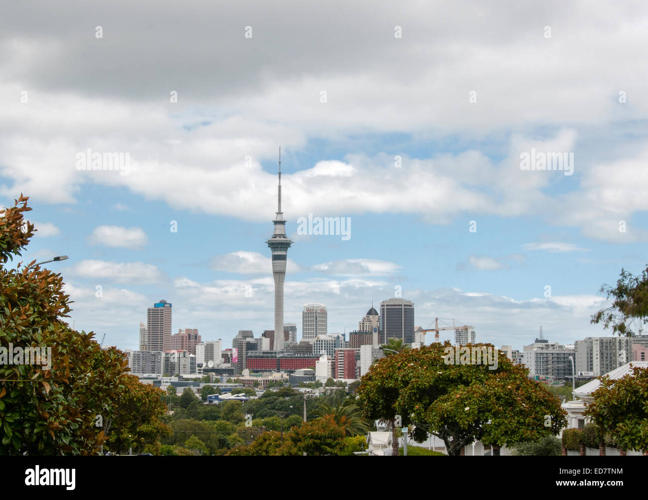 New Zealand Auckland Skyline viewed from Ponsonby Stock Photo - Alamy