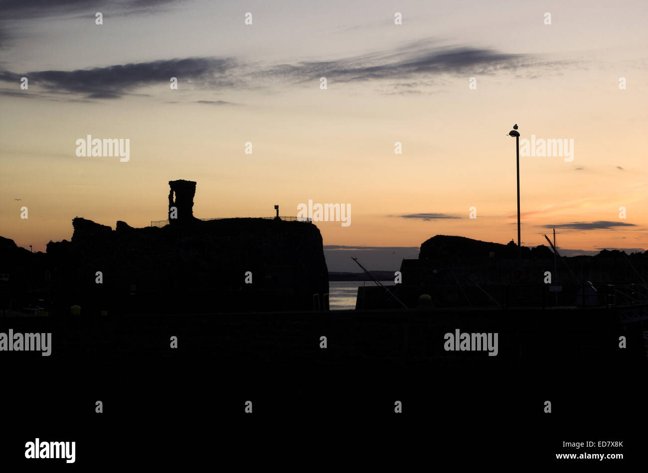 Dunbar harbor at sunset silhouette Stock Photo - Alamy