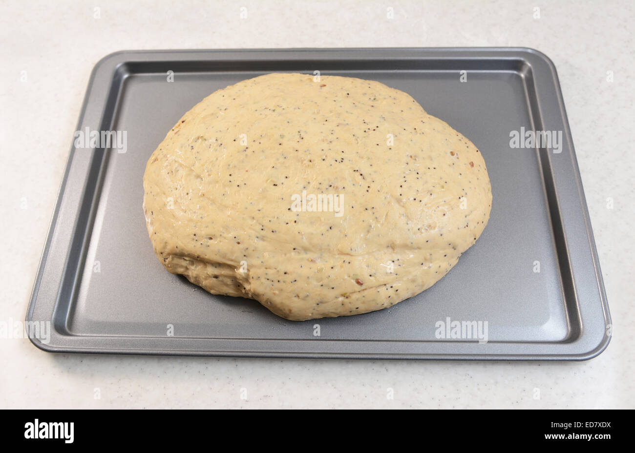 Risen bread dough on a baking sheet, after a second proving Stock Photo ...