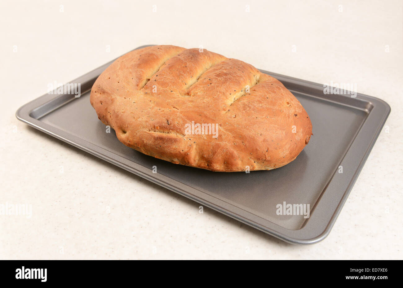 Fresh loaf of multi seed malted bread with slashed crust on a baking ...