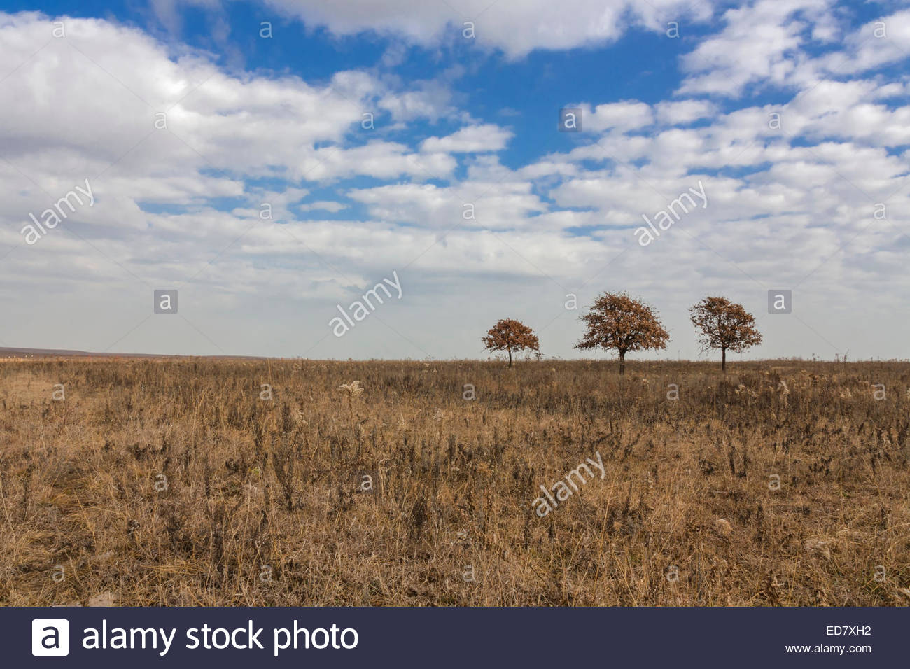 Oklahoma Tallgrass Prairie Preserve High Resolution Stock Photography ...
