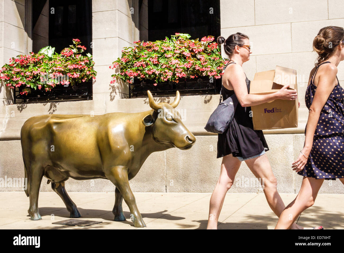 Chicago Illinois,Loop,downtown,Michigan Avenue,public art artwork,steer ...
