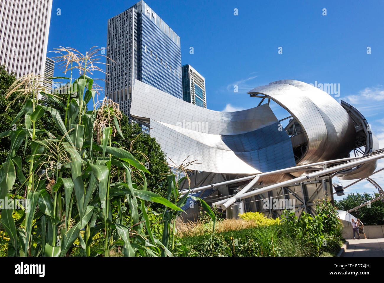 Chicago bandshell High Resolution Stock Photography and Images - Alamy