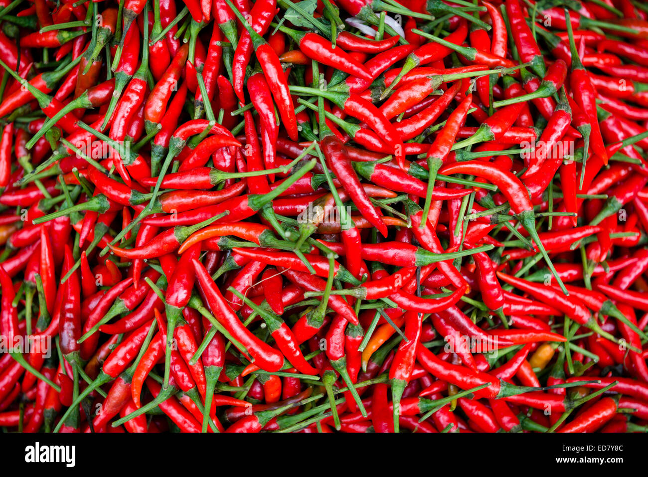 Detail of box of bright red chillies Stock Photo - Alamy