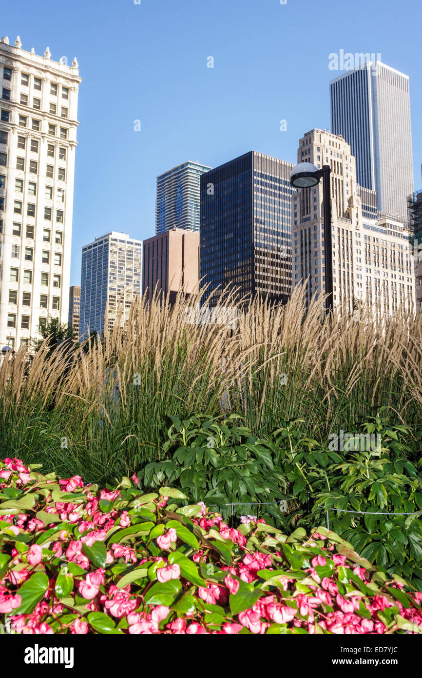 Chicago Illinois,River North,downtown,high rise skyscraper skyscrapers ...