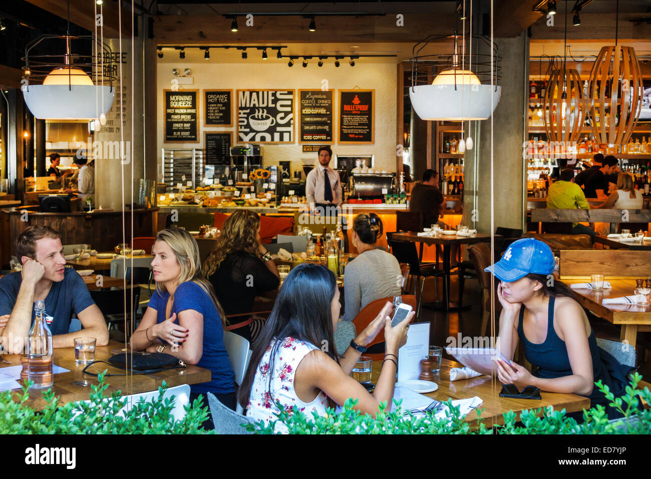 Chicago Illinois,River North,downtown,North Clark Street,Beatrix ...