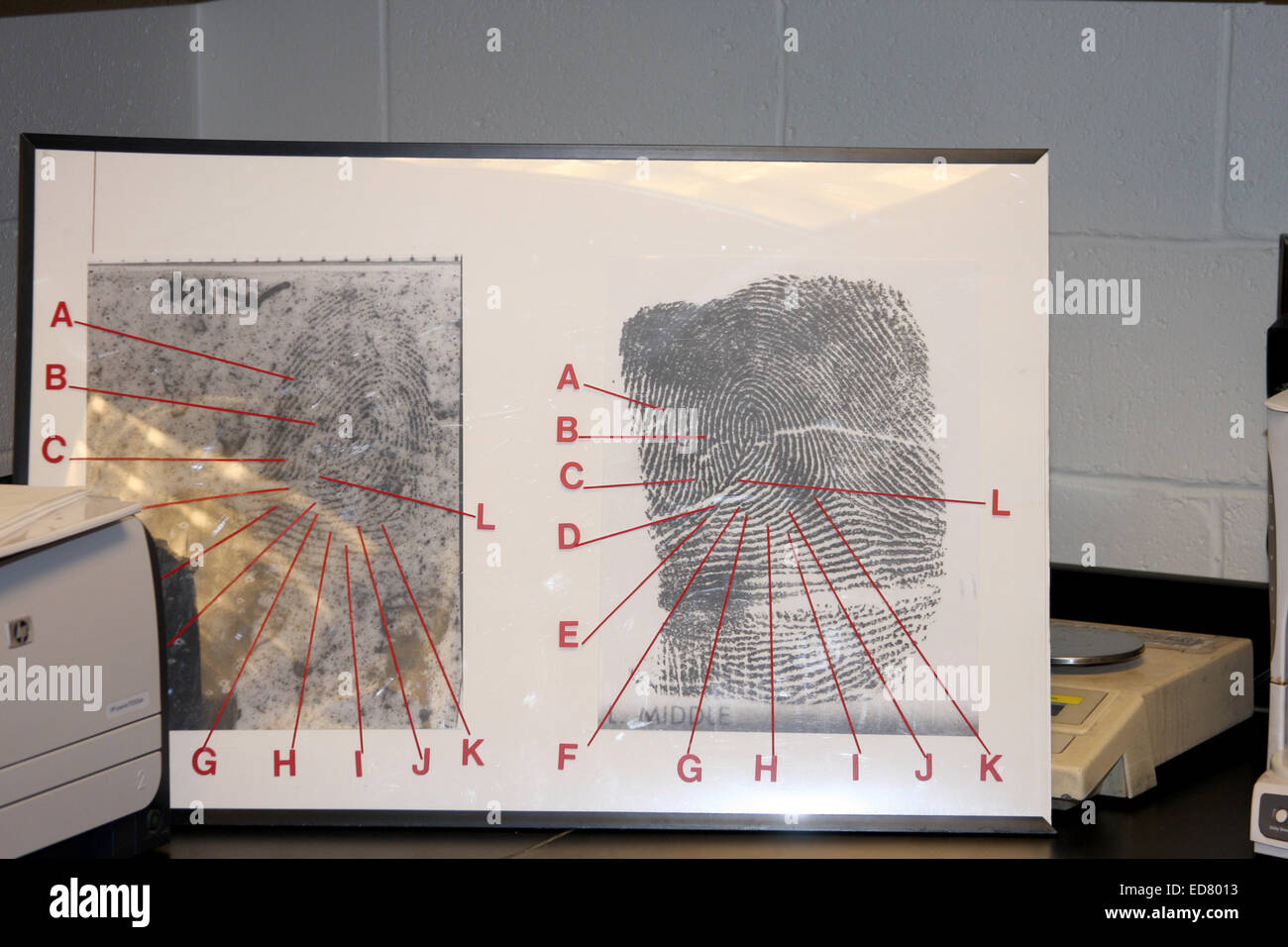 A Police Department fingerprint teaching display on matching ...