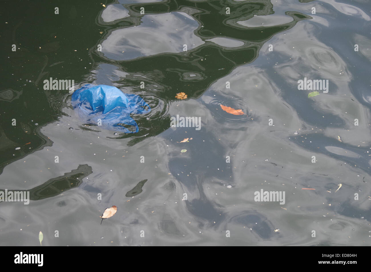 Plastic bag in the ocean Stock Photo - Alamy