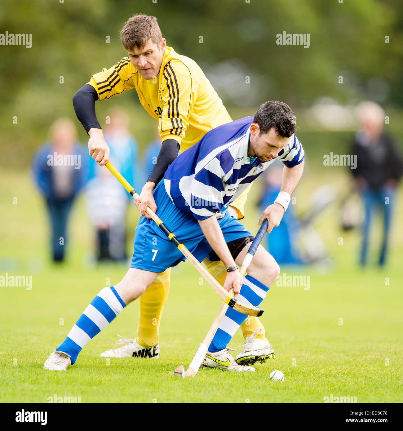 Newtonmore captain Scott Chisholm gets away from Ruaridh Graham ...