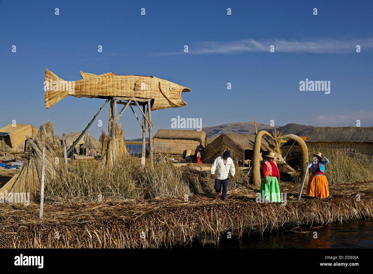 Floating reed island hi-res stock photography and images - Alamy