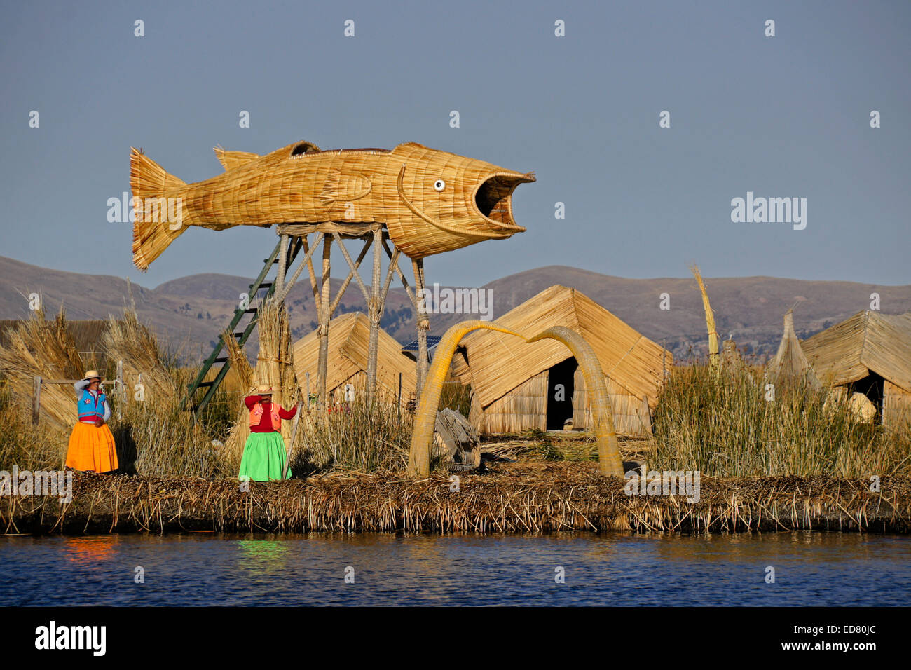 Floating reed island hi-res stock photography and images - Alamy