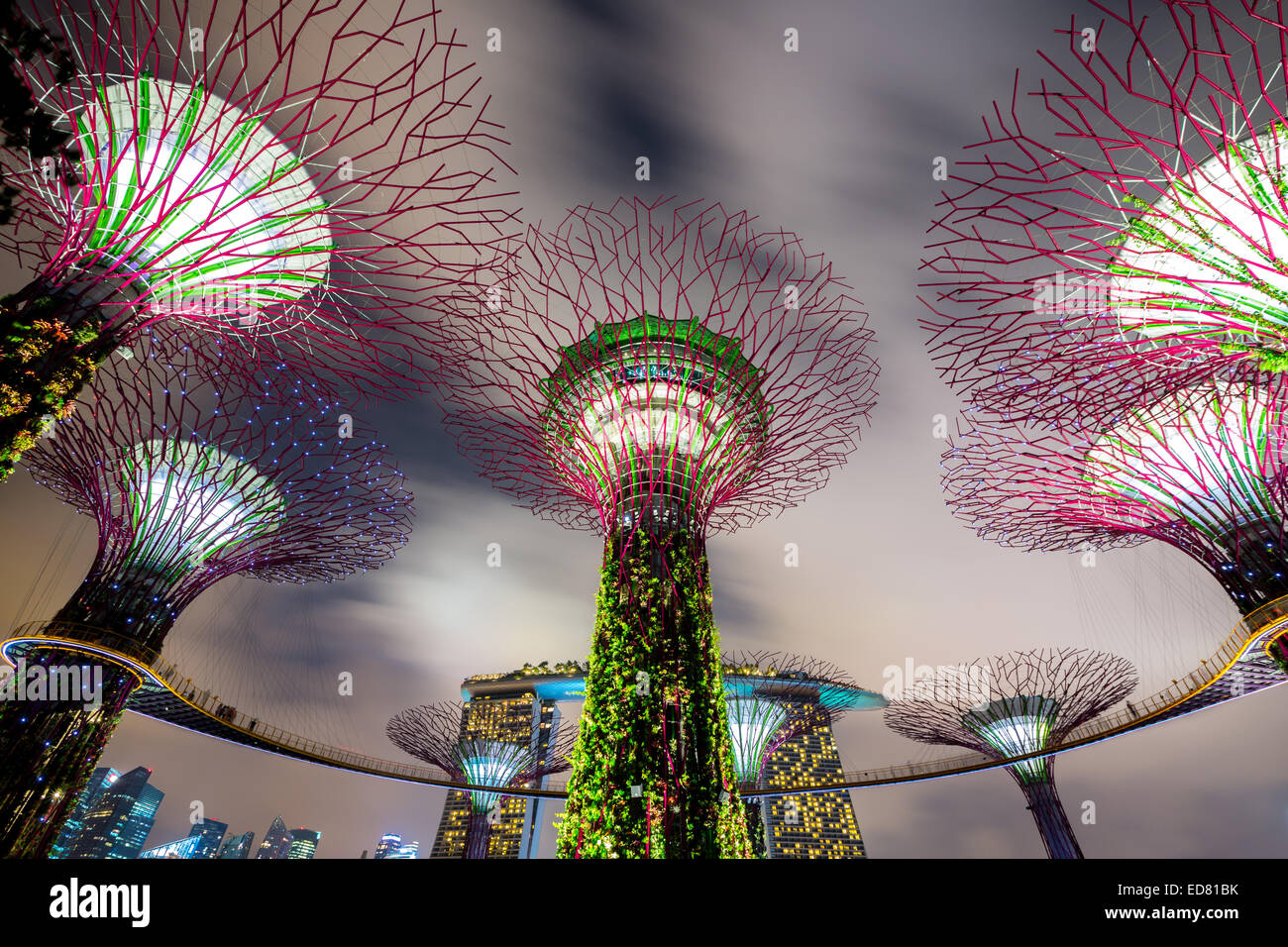 Gardens by the Bay - SuperTree Grove in Singapore Stock Photo - Alamy