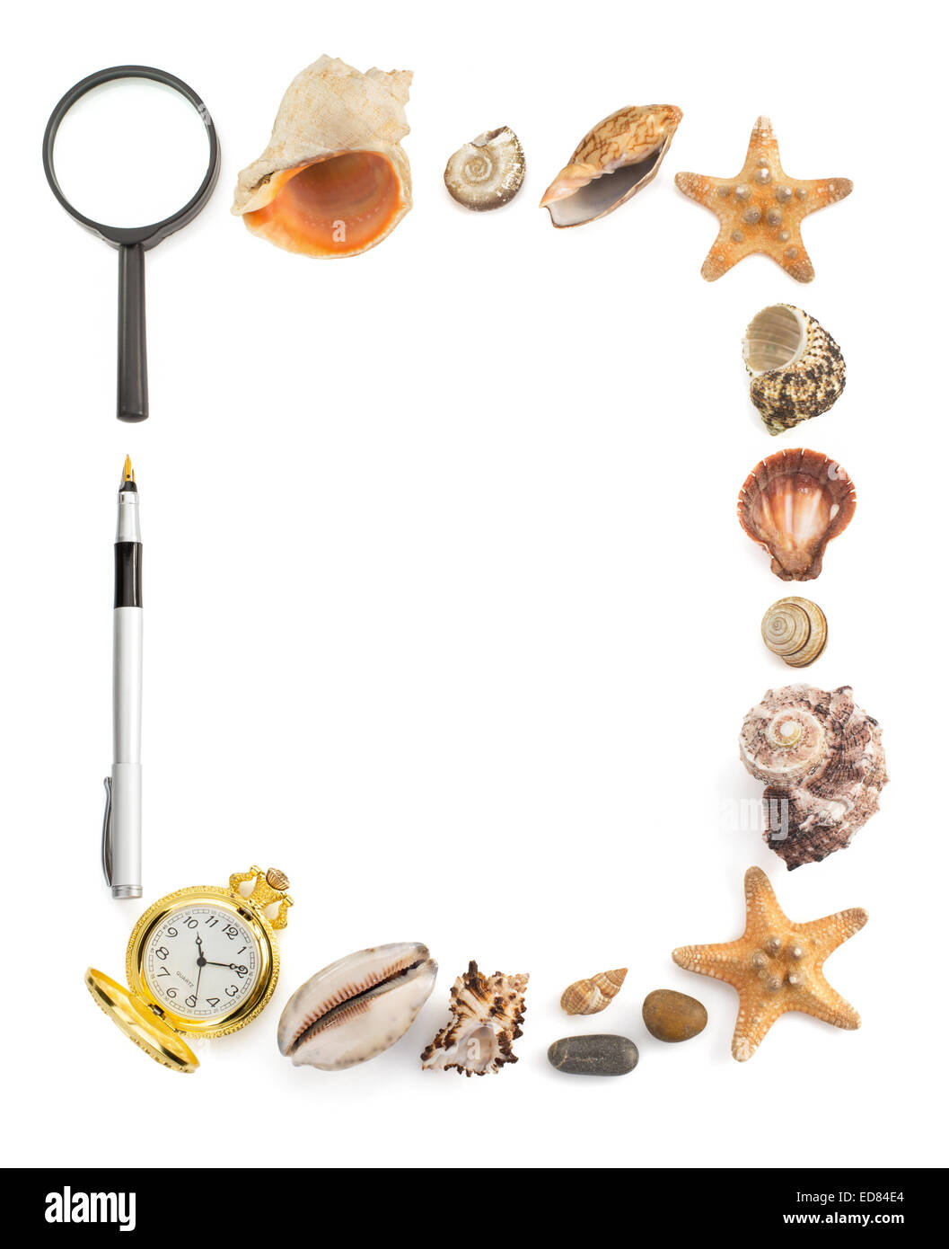 seashell and sea concept isolated on white background Stock Photo - Alamy