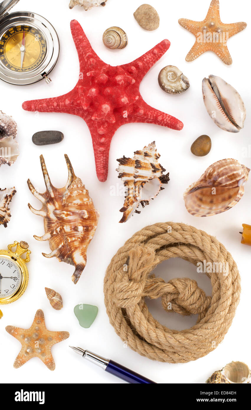 seashell and sea concept isolated on white background Stock Photo - Alamy