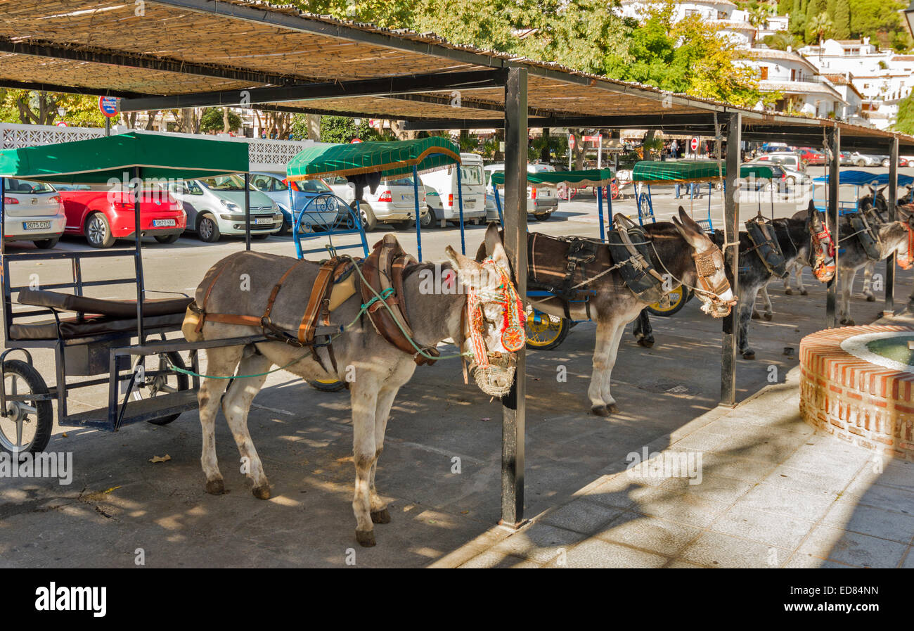 DONKEYS AND CARTS RESTING IN THE SHADE MIJAS PUEBLO VILLAGE SPAIN Stock ...