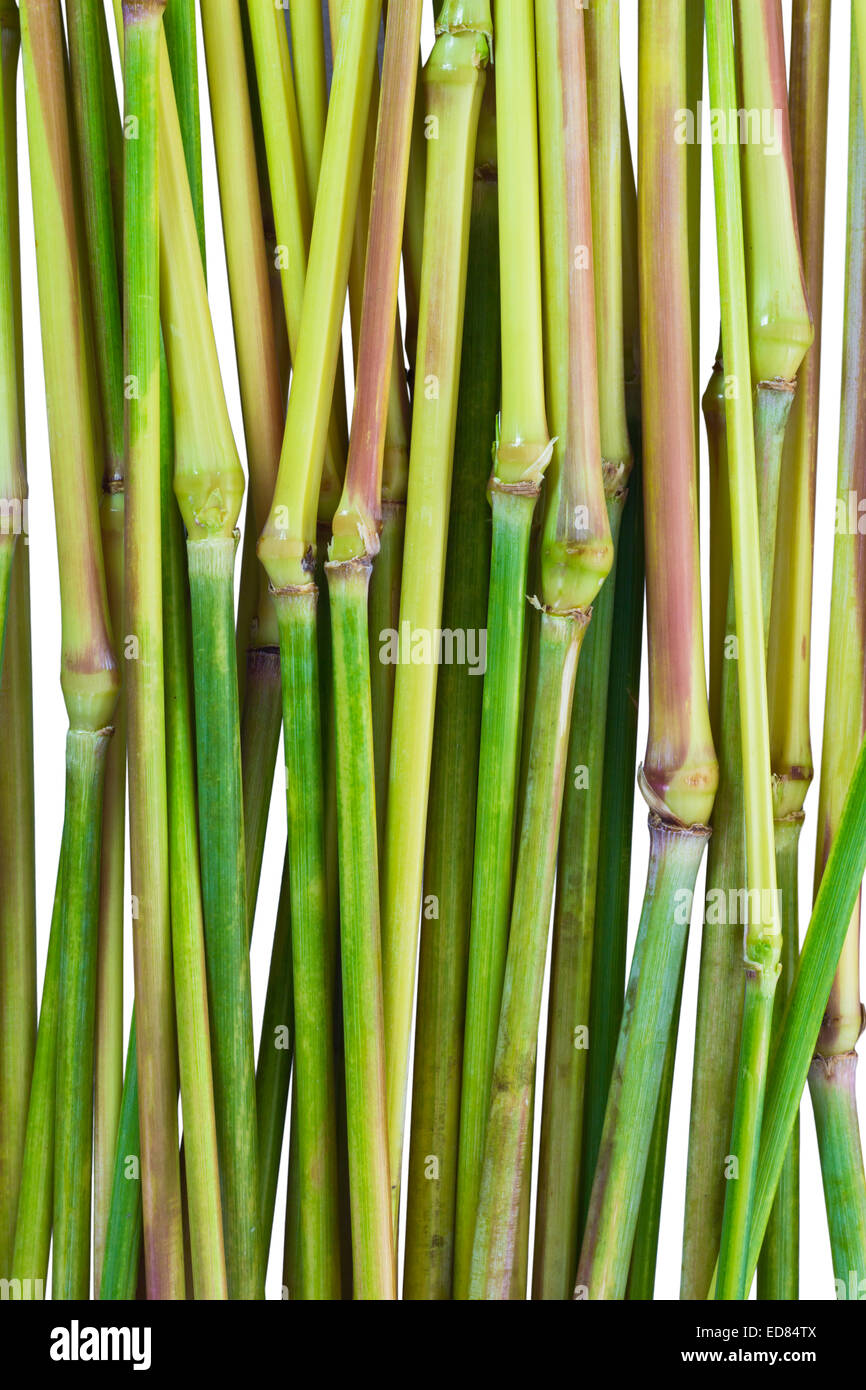 Nature background of weed plant stem Stock Photo - Alamy