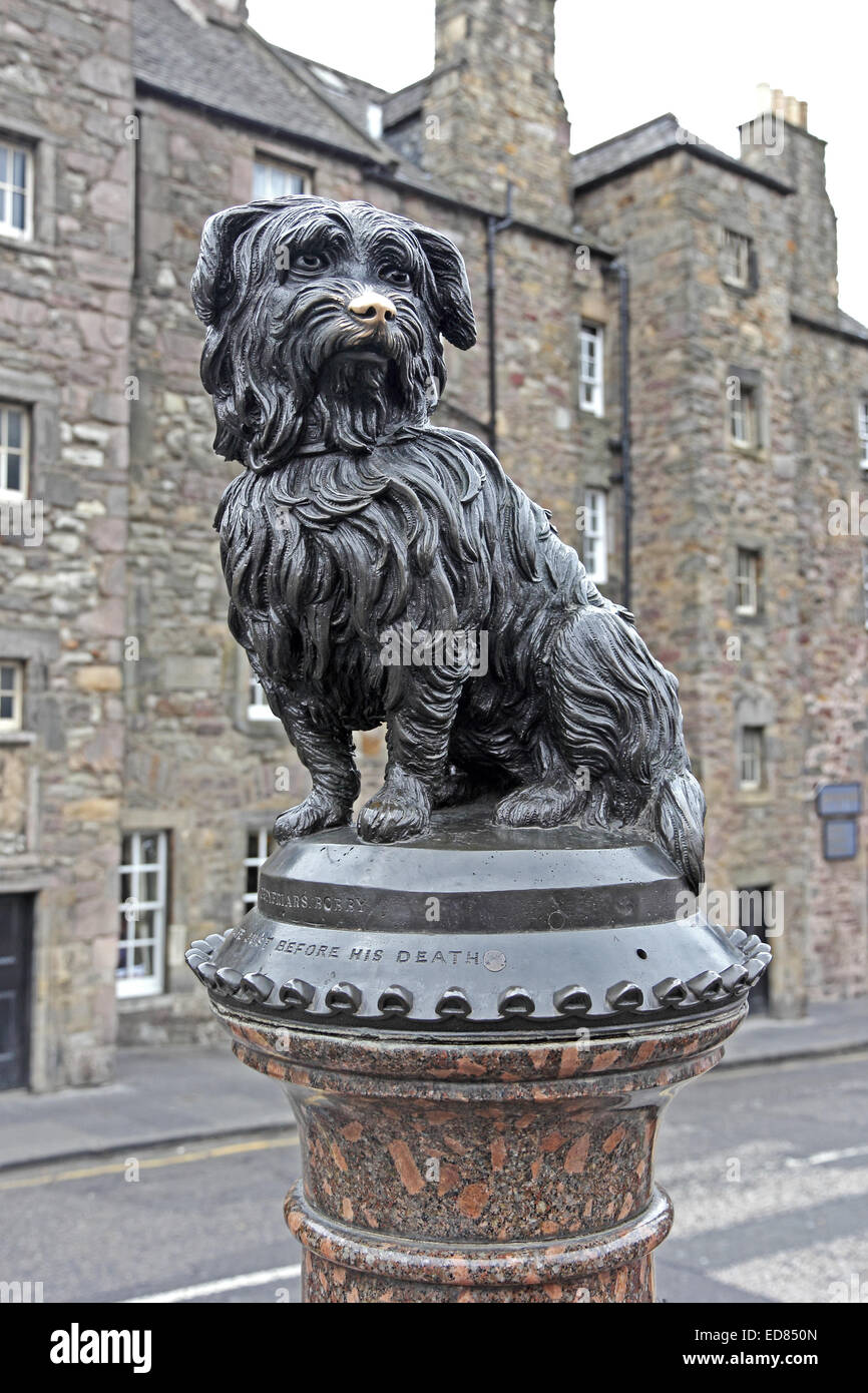 Statue of Greyfriars Bobby, Edinburgh, Scotland Stock Photo - Alamy
