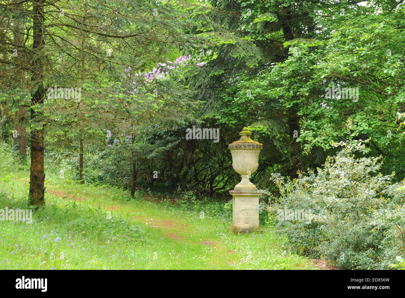 Wild Flower Meadow at Saltram House Estate, Plympton, Plymouth, Devon ...