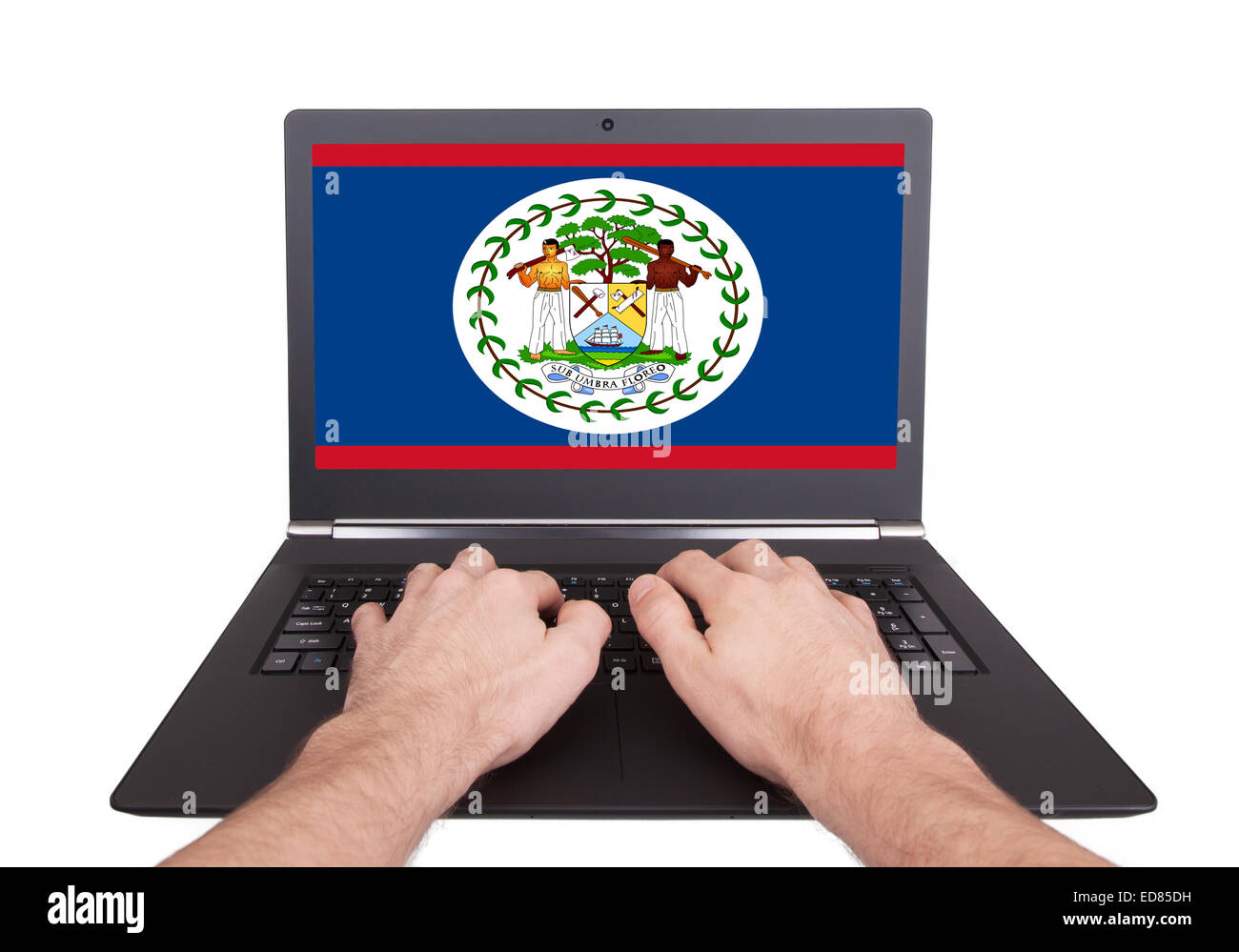 Hands working on laptop showing on the screen the flag of Belize Stock ...