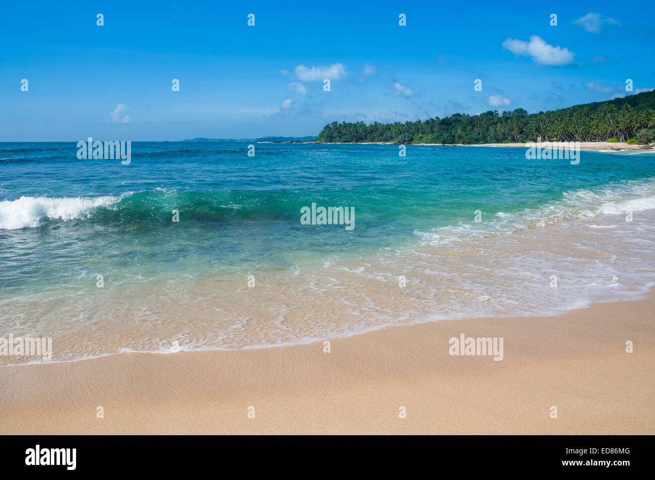 Green wave on sandy paradise beach with coconut palms, golden sand and ...