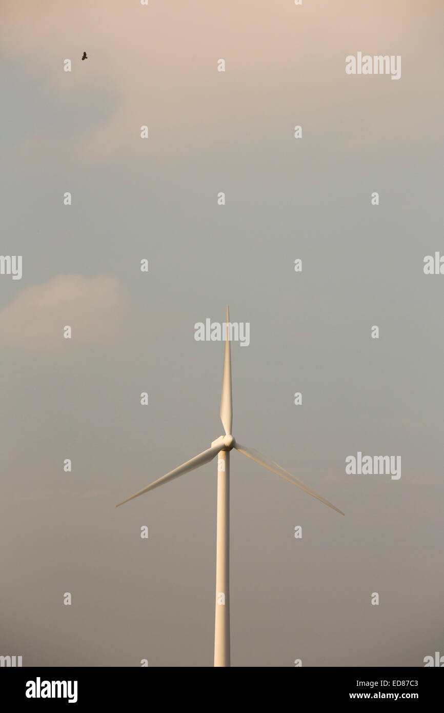 Fly carbon neutral hi-res stock photography and images - Alamy