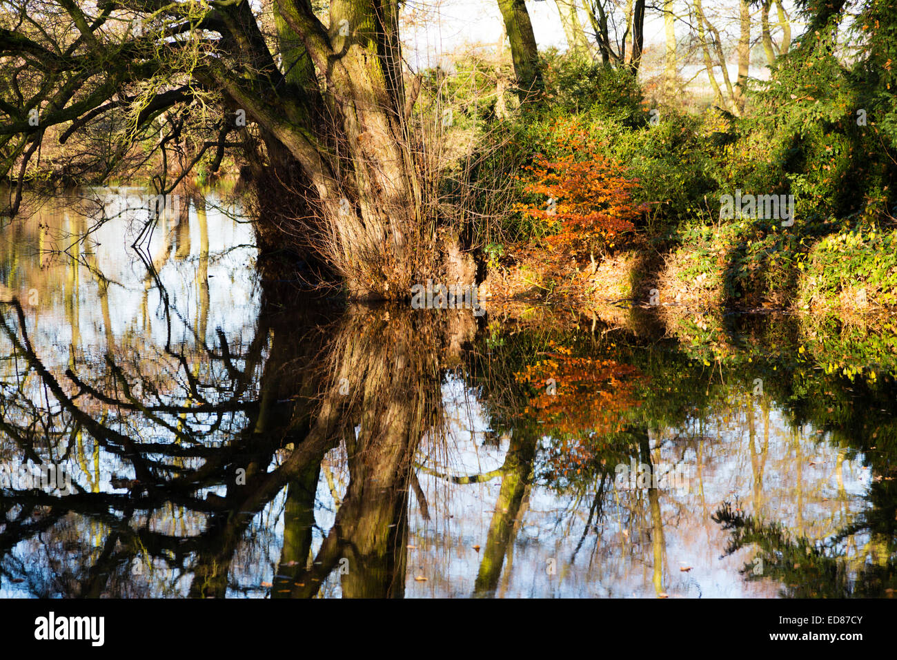 Autumn reflection england hi-res stock photography and images - Alamy