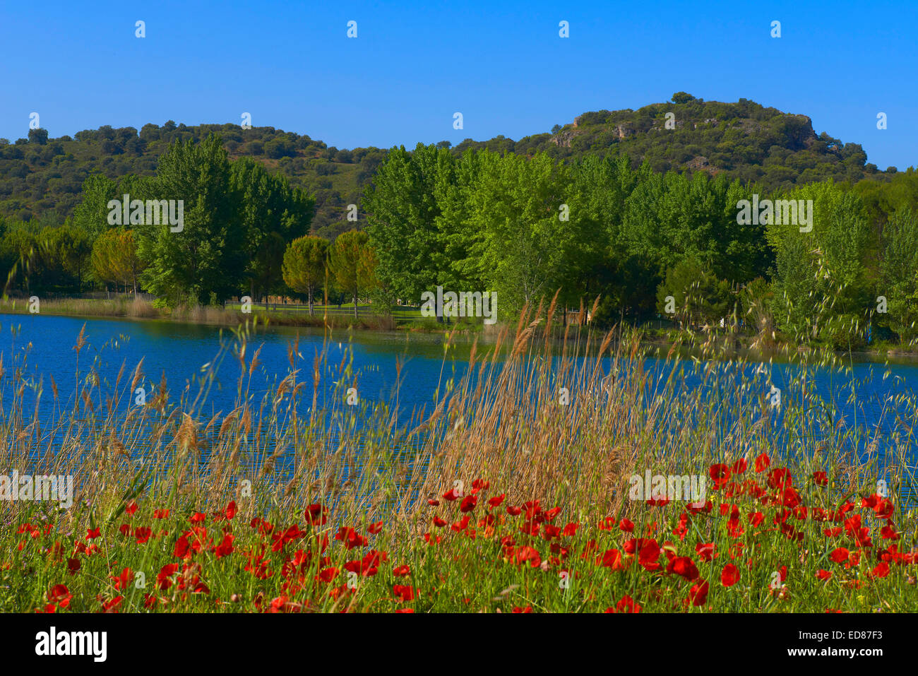 Ruidera Lagoons, Lagunas de Ruidera Natural Park, Albacete and Ciudad ...
