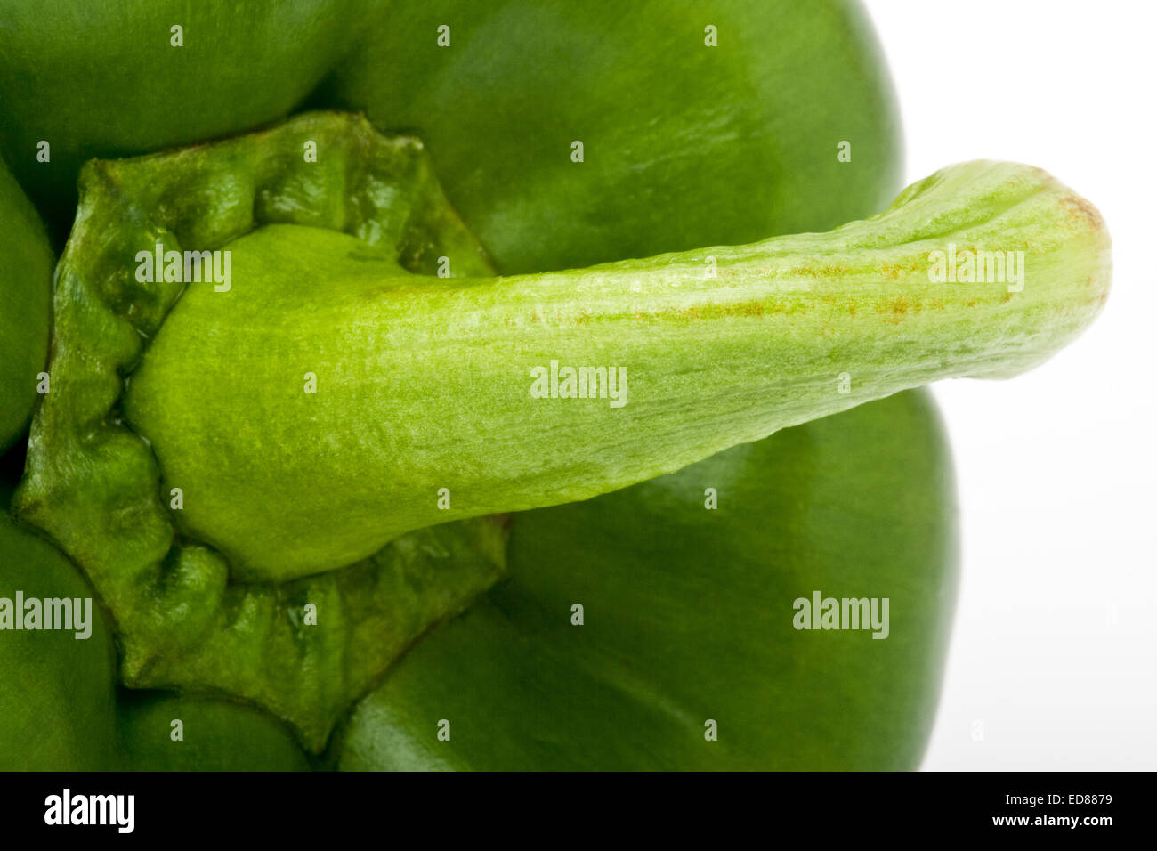 close-up of green pepper isolated on white background Stock Photo - Alamy