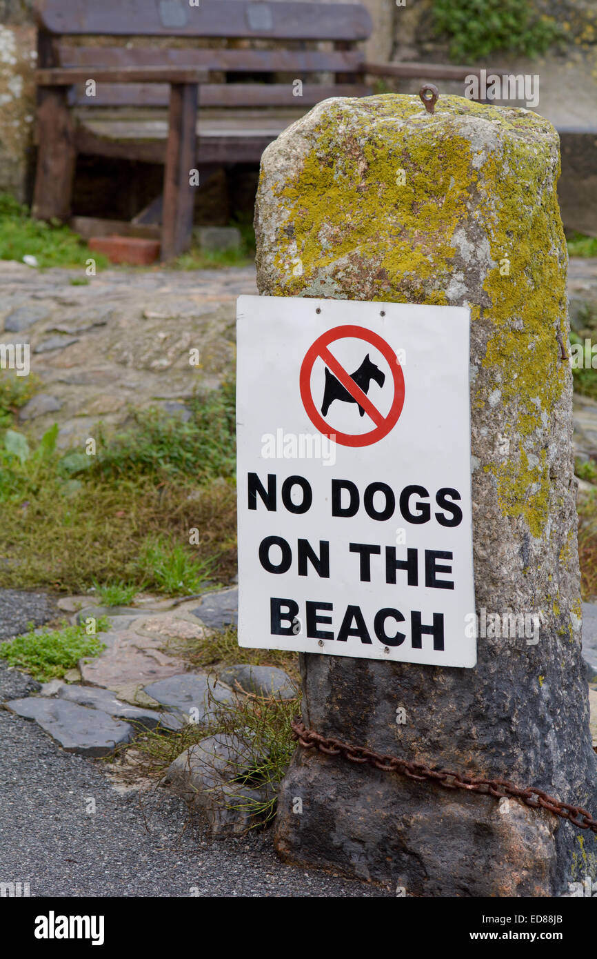 No dogs on beach sign Stock Photo - Alamy