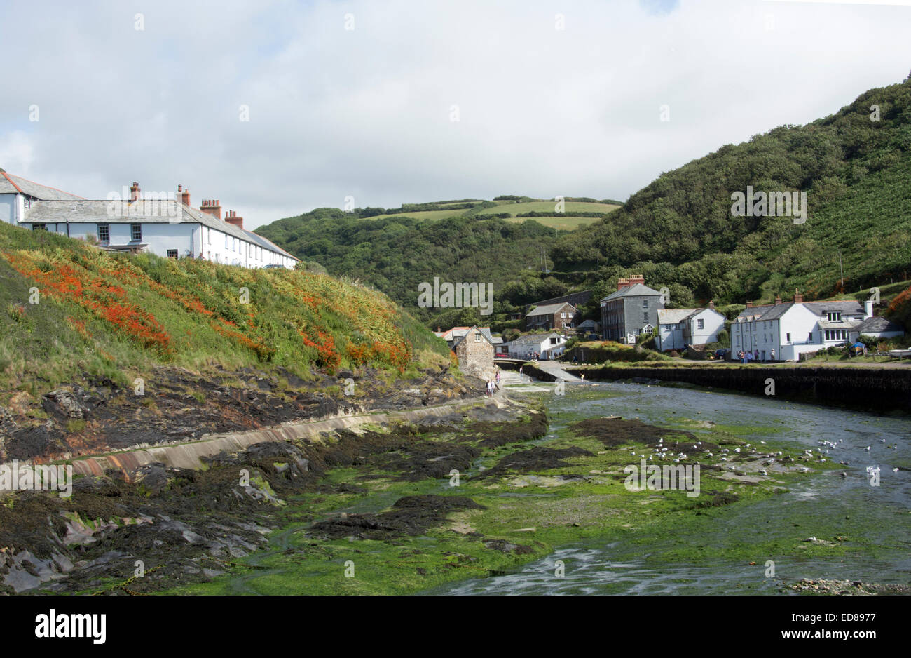 CORNWALL; BOSCASTLE; THE RIVER VALENCY AT LOW TIDE Stock Photo - Alamy