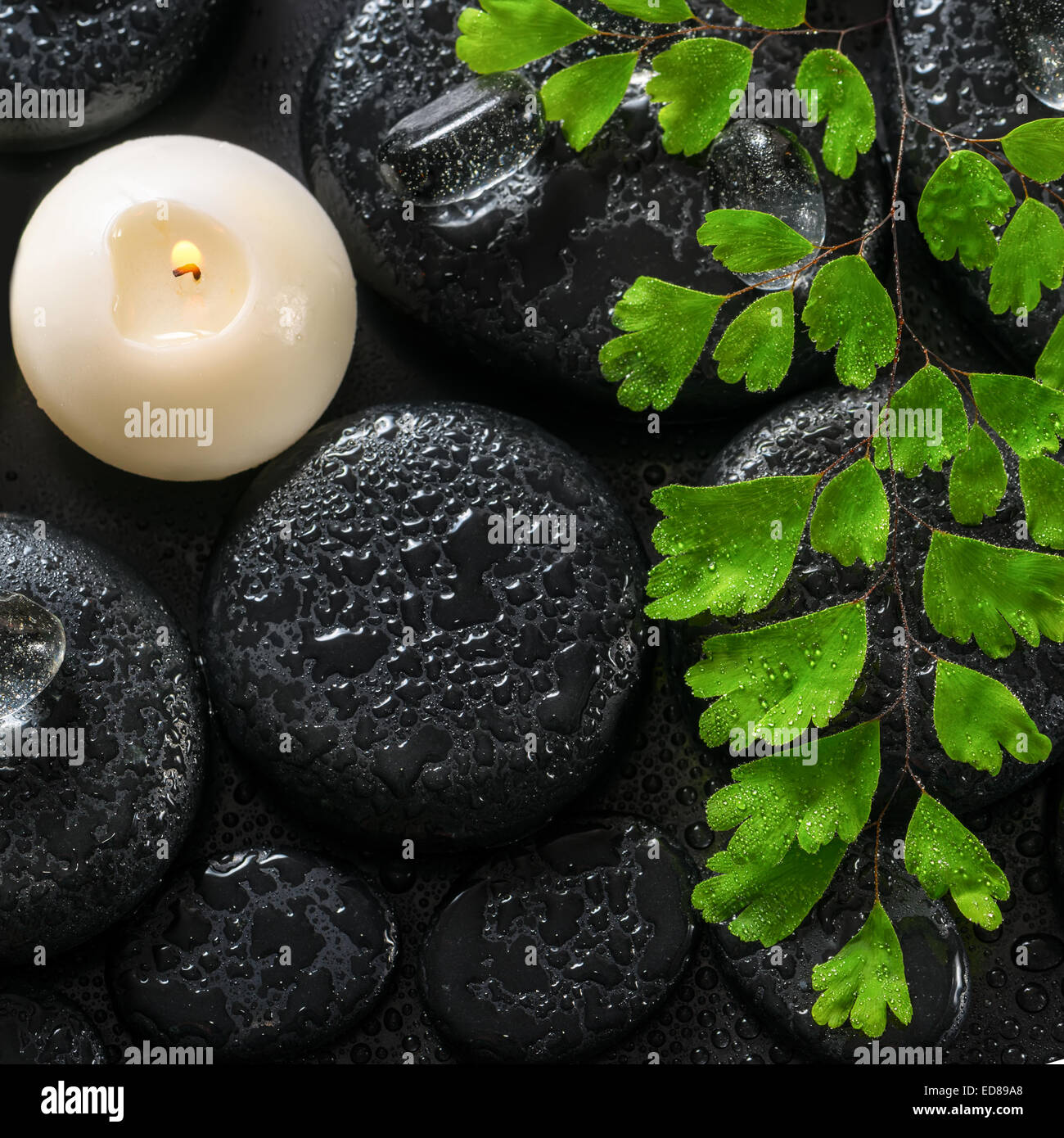 beautiful spa still life of green twig fern, ice and candle on zen ...