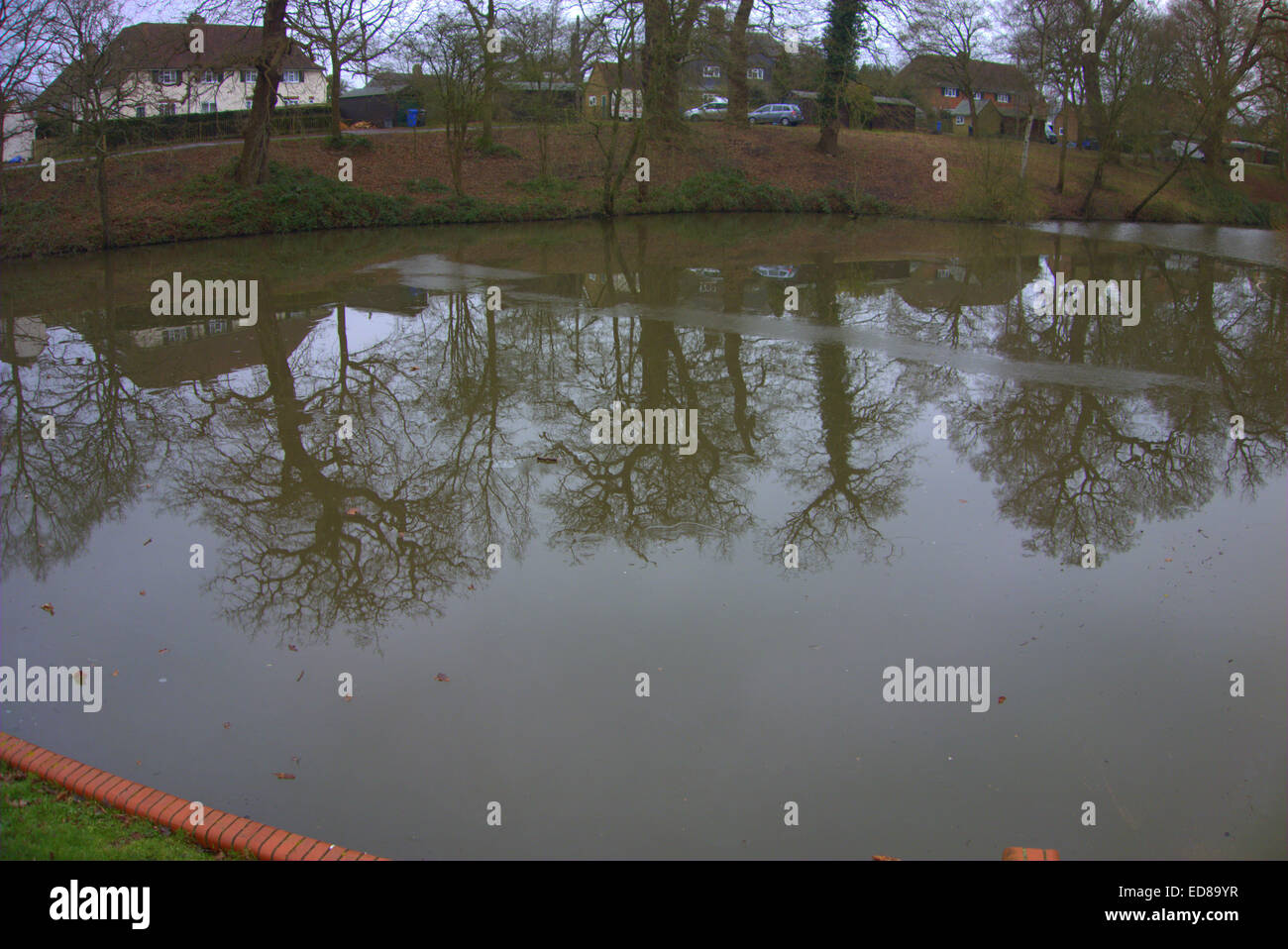 Ponds Royal Windsor great park Winter 2015 Stock Photo - Alamy