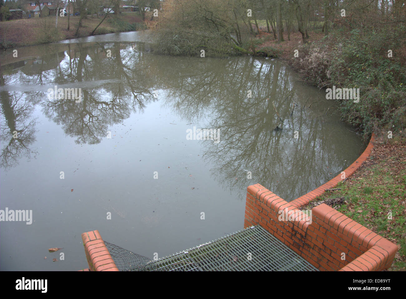 Ponds Royal Windsor great park Winter 2015 Stock Photo - Alamy