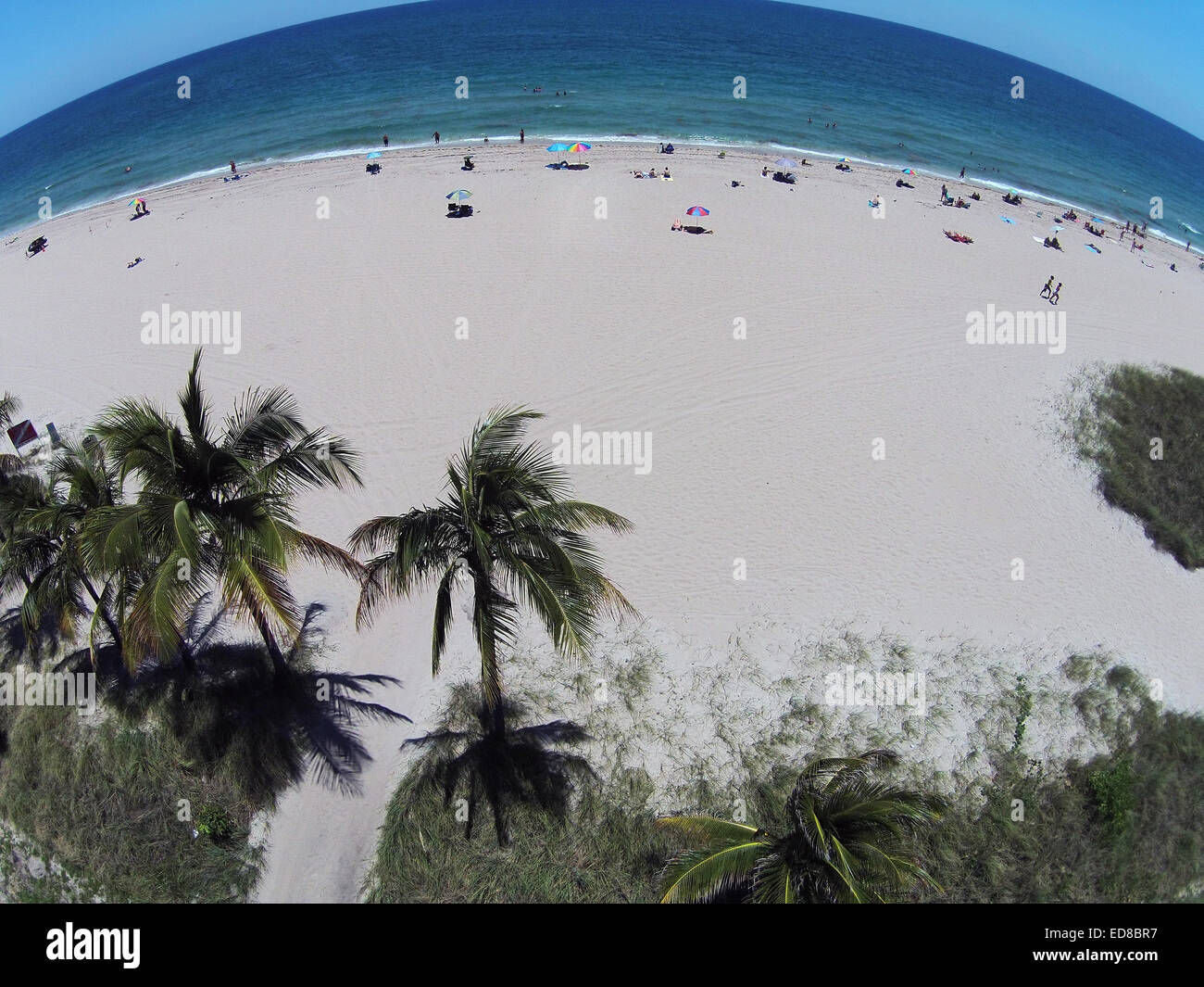 Tropical beach in Florida aerial view fisheye effect Stock Photo - Alamy