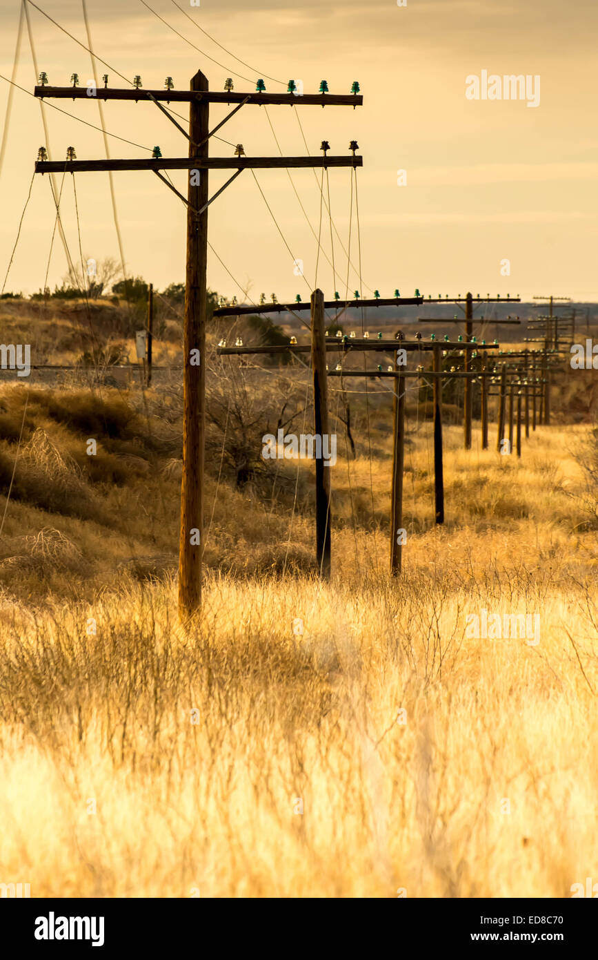 power lines on wood poles running through golden fields Stock Photo - Alamy