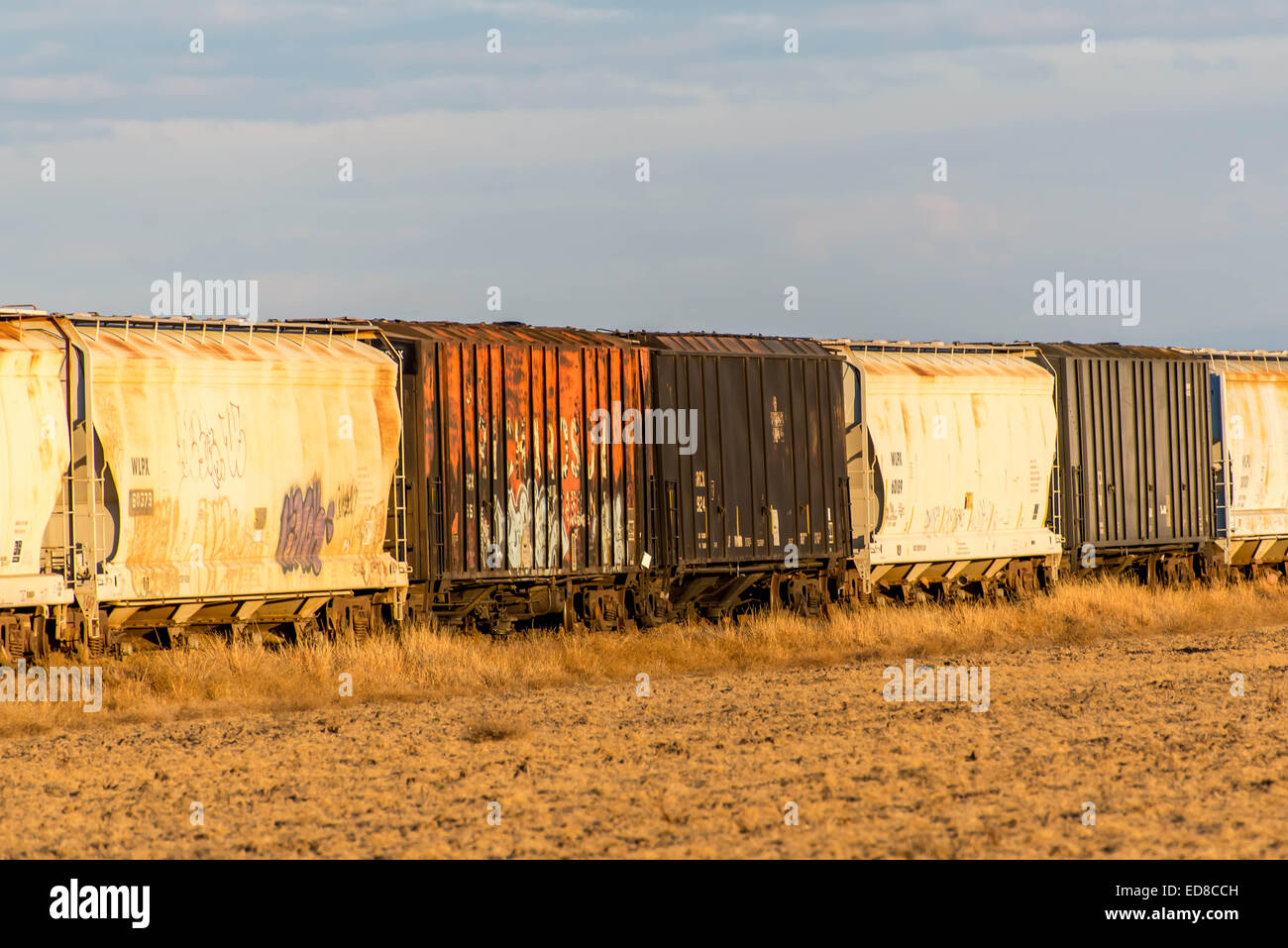 rural landscape with train and golden field Stock Photo - Alamy