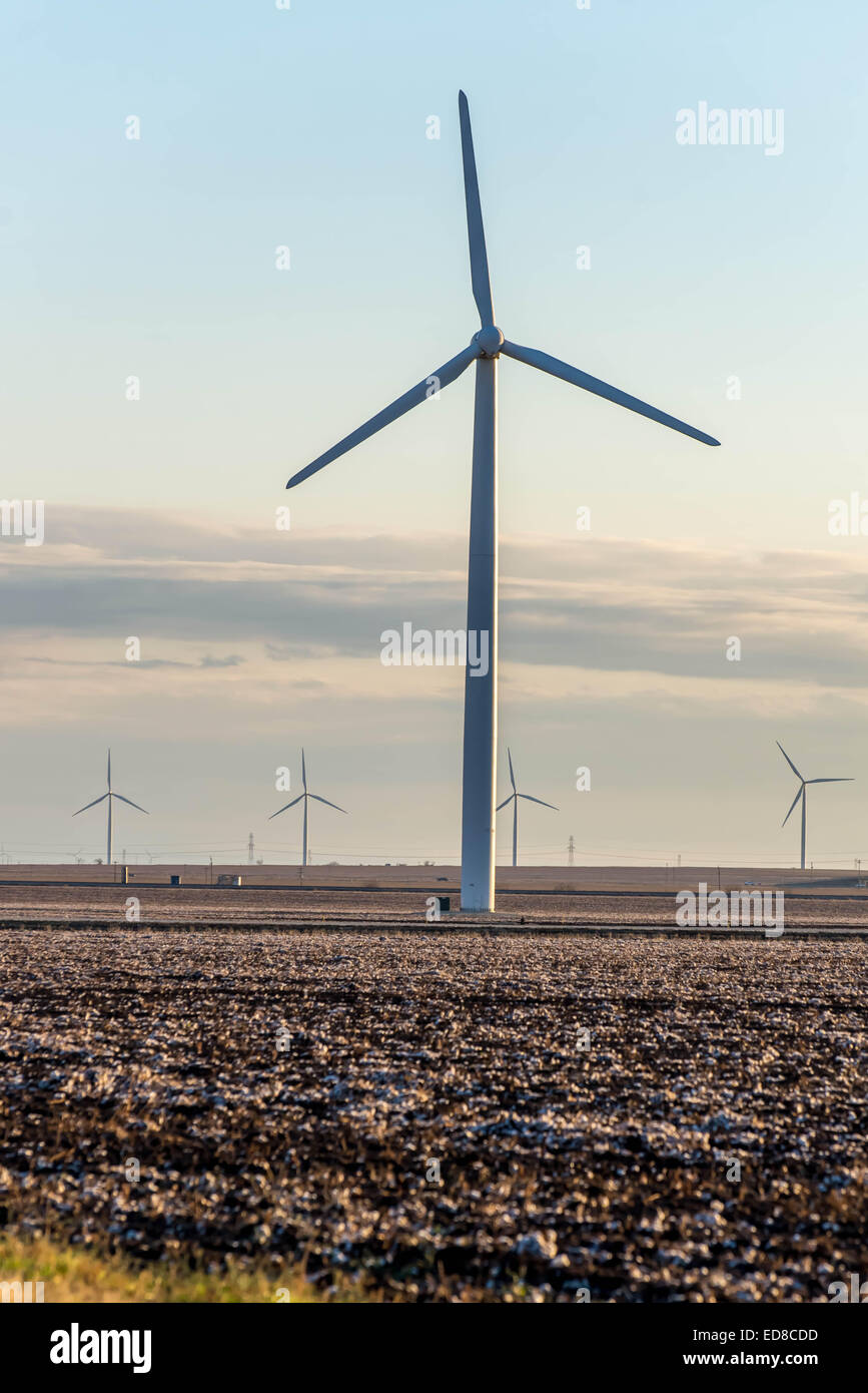 Renewable cotton hi-res stock photography and images - Alamy
