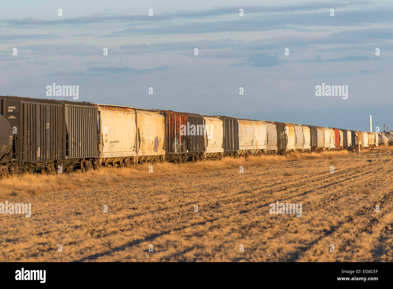 train cars on railroad tracks though agricultural fields Stock Photo ...