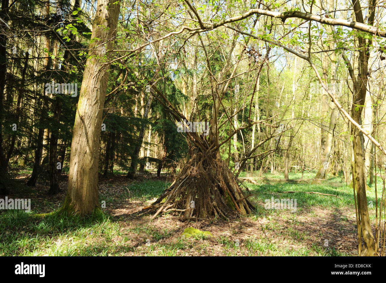 Leamington spa landscape hi-res stock photography and images - Alamy