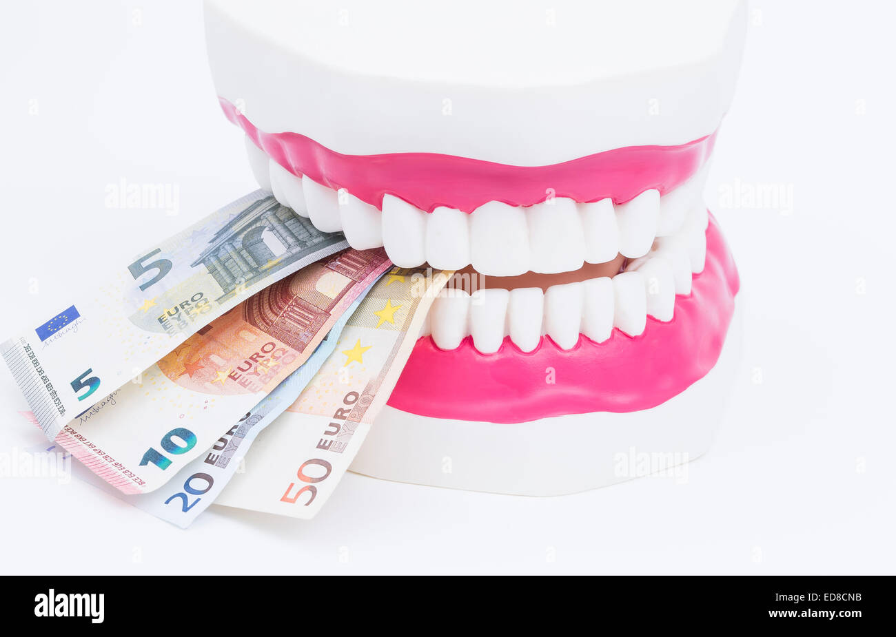 Tooth model with money Stock Photo - Alamy