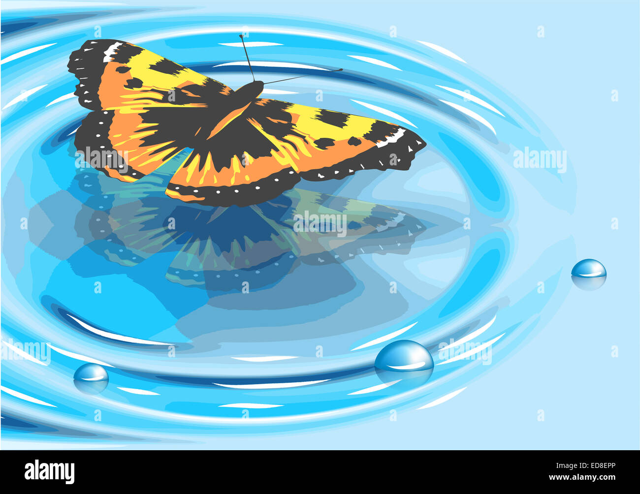 Butterfly landing water hi-res stock photography and images - Alamy