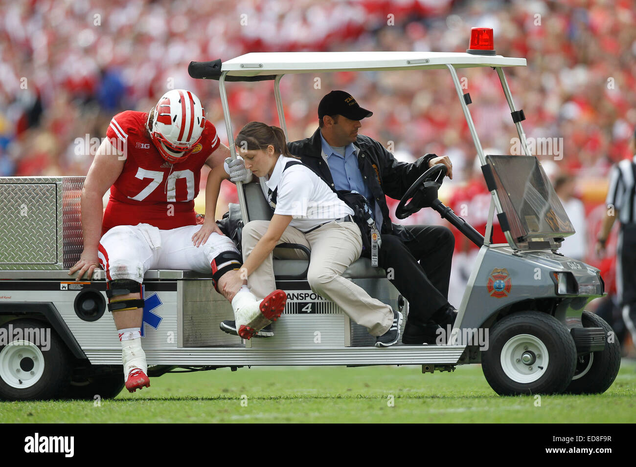 Jan. 1, 2015 - Tampa, Florida, U.S. - EVE EDELHEIT | Times.Wisconsin ...