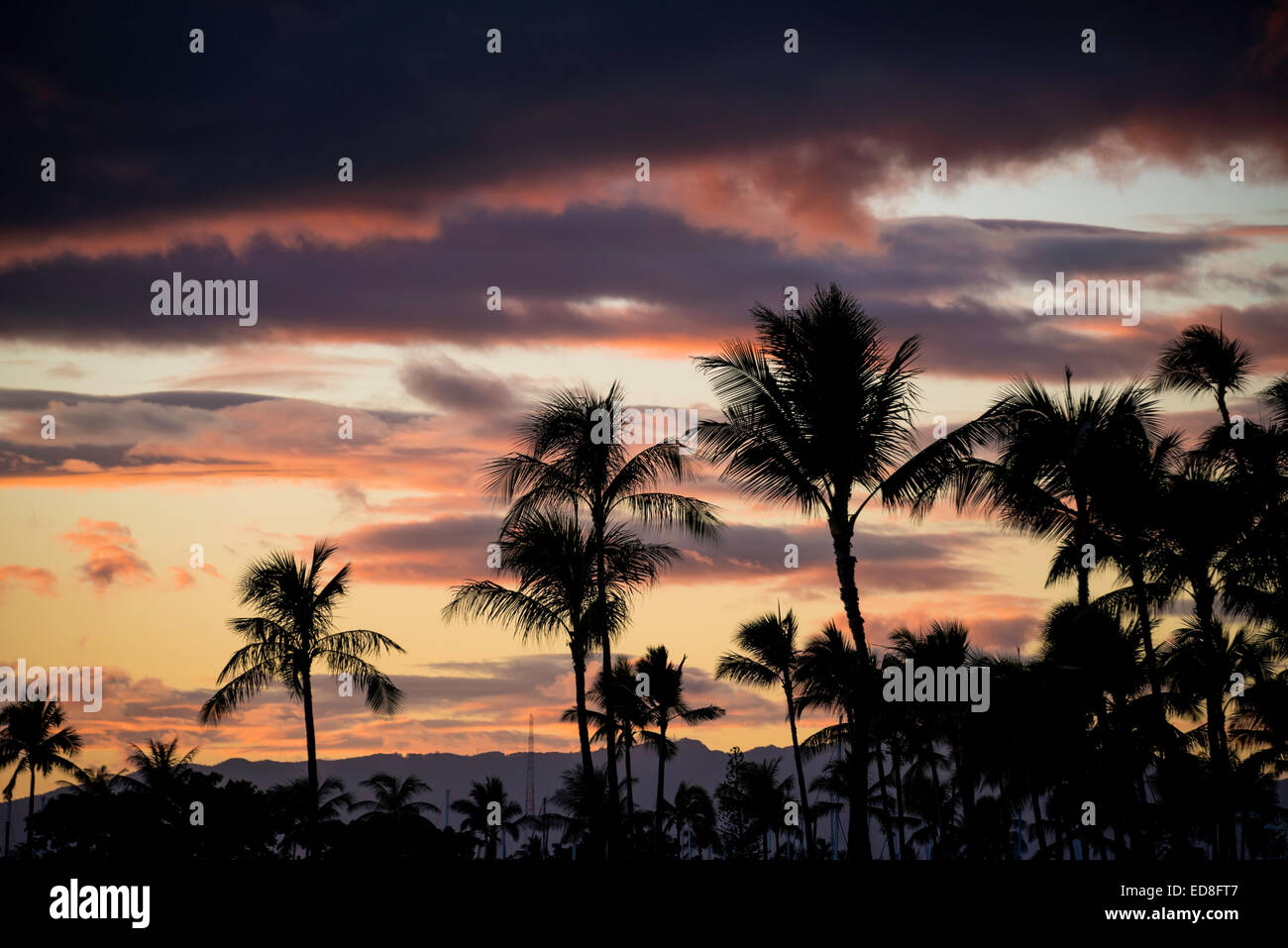Waikiki sunset hi-res stock photography and images - Alamy