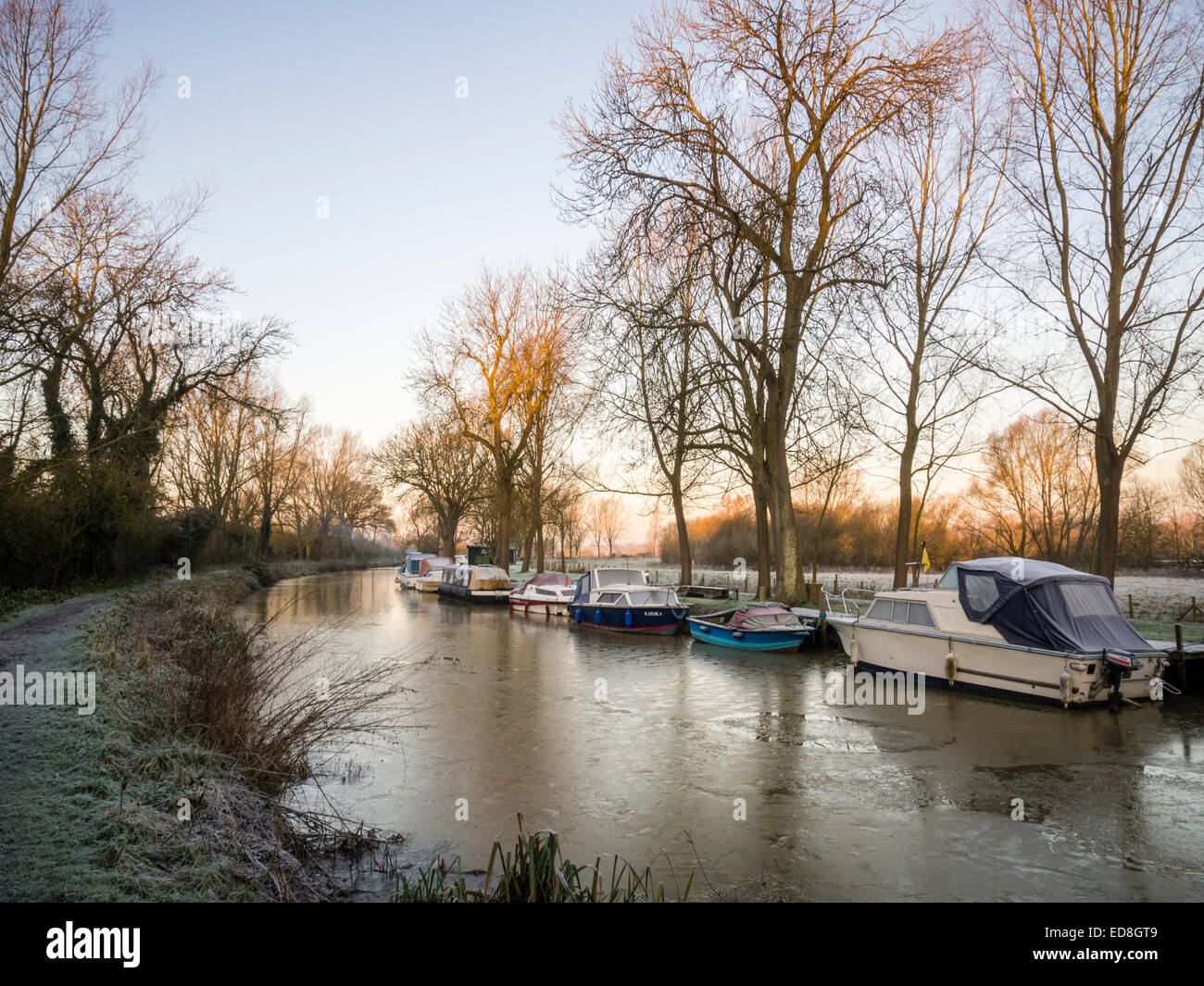 Boats moored on the River Chelmer and Blackwater Navigation near Hoe ...