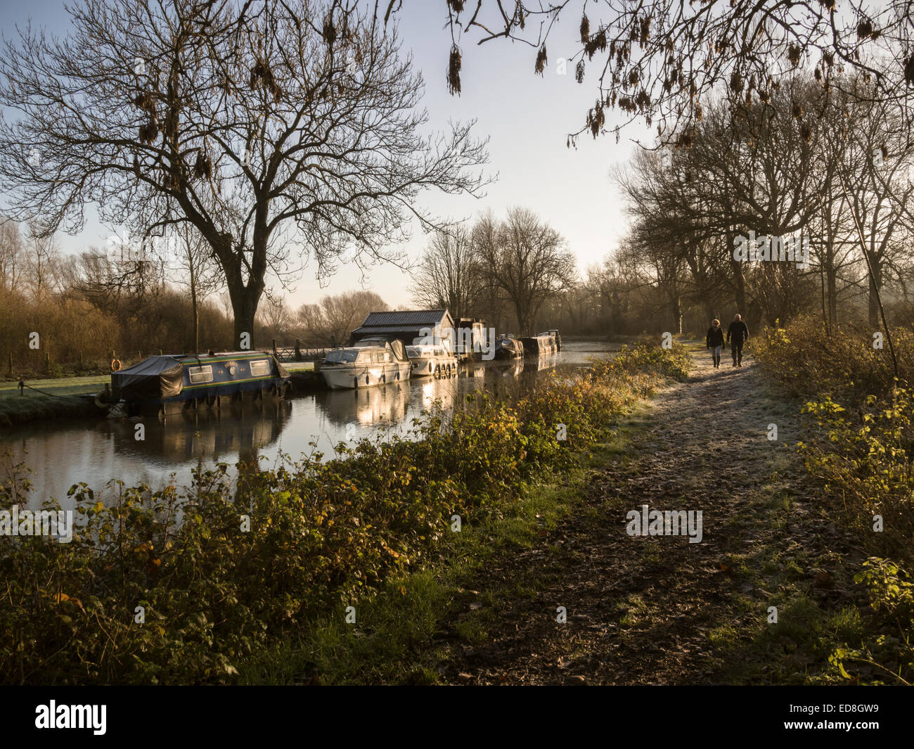 Walking along te River Chelmer and Blackwater Navigation near Hoe Mill ...