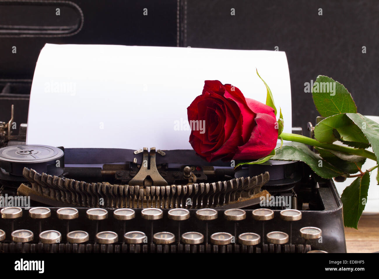 red rose on typewriter Stock Photo - Alamy