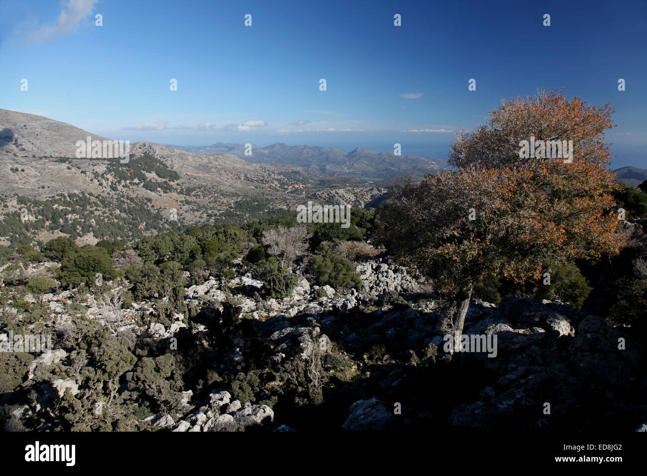 Cretan mountains hi-res stock photography and images - Alamy